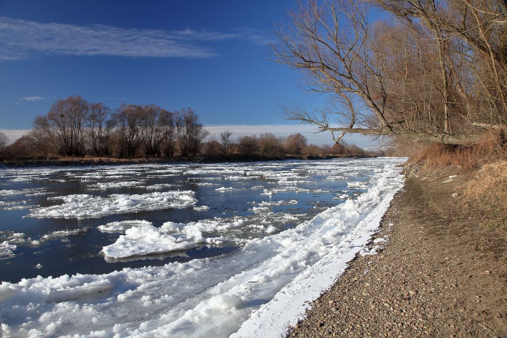 Útočisko v tuhej zime - Časopis Quark