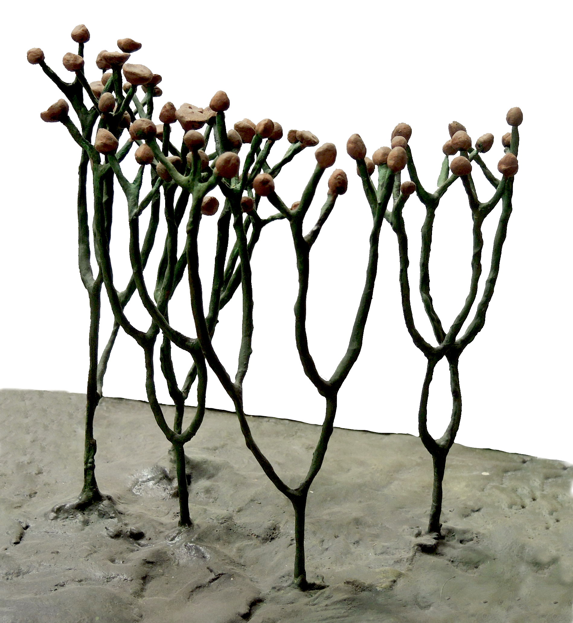 Silúrsky skleník - Časopis Quark