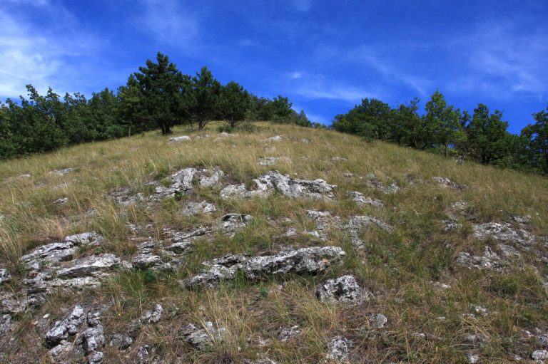V stepiach Slovenska - Časopis Quark