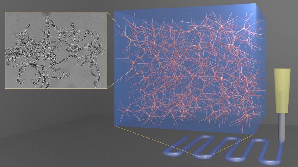 Nové 3D obväzy - Časopis Quark