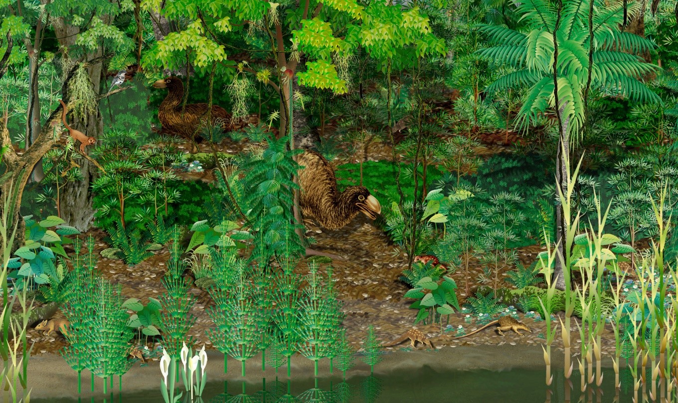 obr. 5 eocen - Časopis Quark